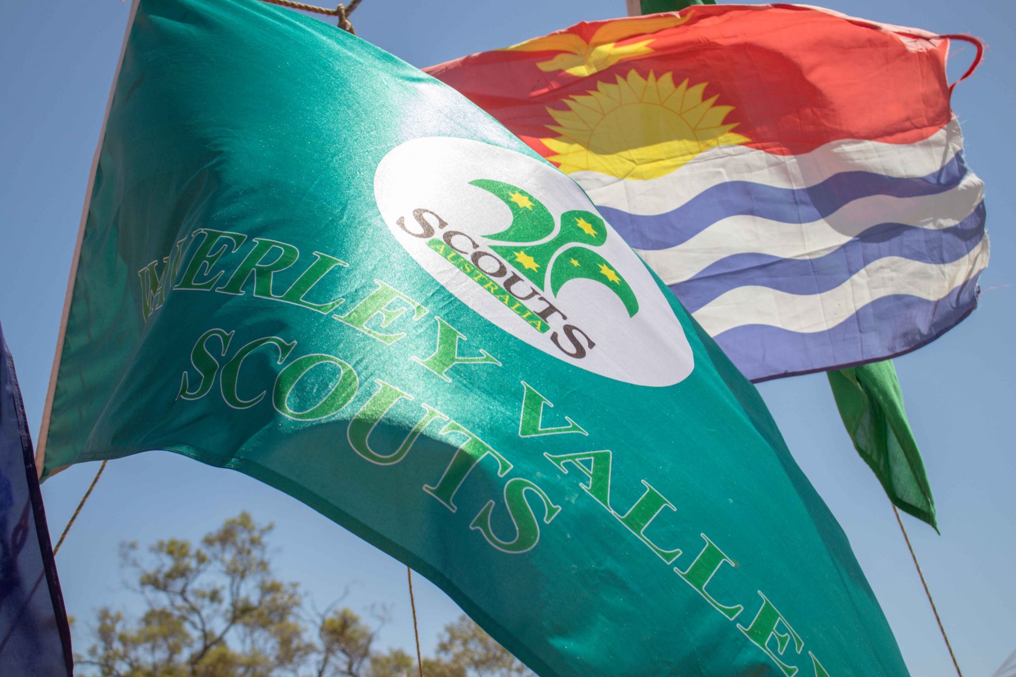 About Us – Waverley Valley Scouts